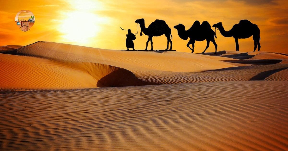 lahbab | best dubai lahbab desert - dubaidesertsafarithrill